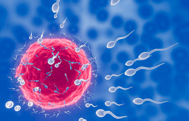 知识 | 宫腔内人工授精（IUI）成功率解析及适应症-LinkedIVF